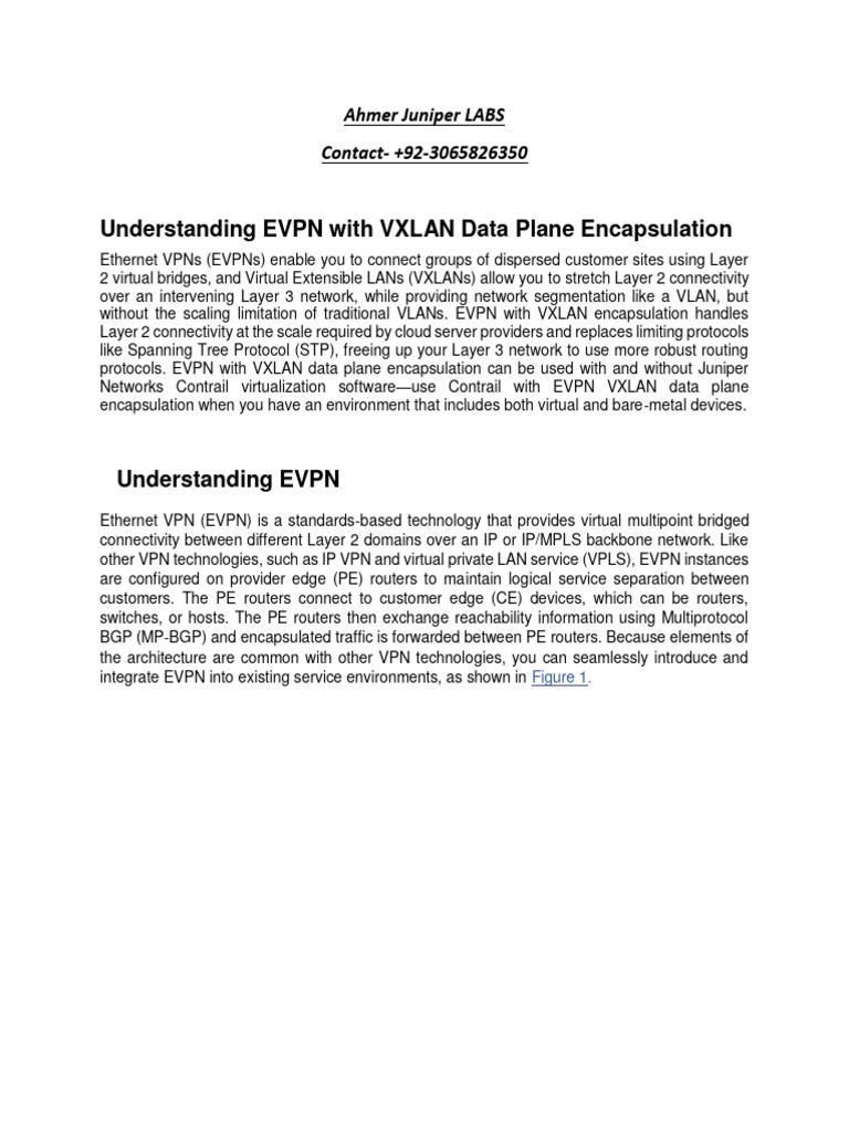EVPN | PDF | Virtual Private Network | Computer Network