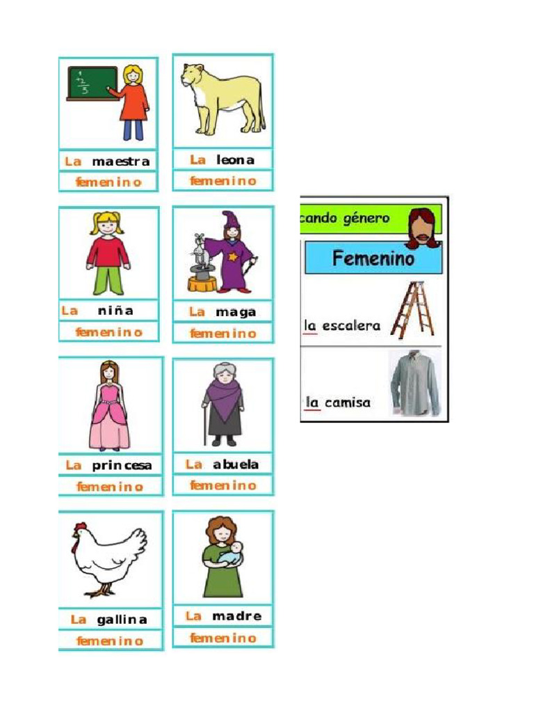 Genero Gramatical Femenino | PDF