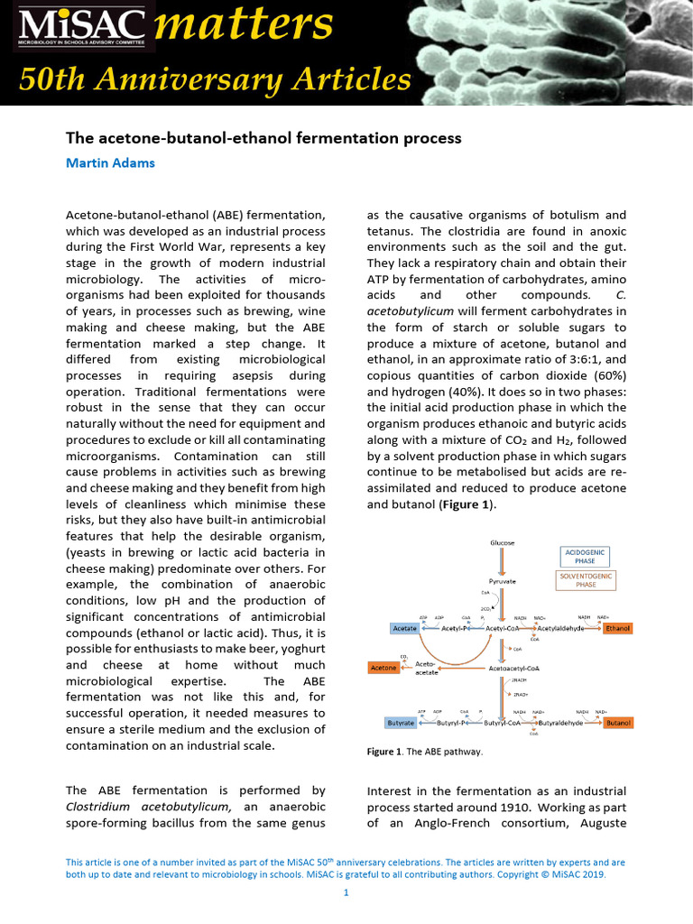 13.Adams-ABE-2019 | PDF | Fermentation | Chemistry