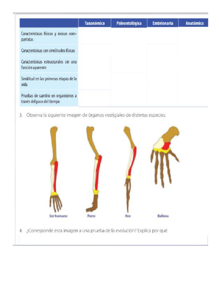 Pág. de Libro 171. Pruebas de La Evolución | PDF