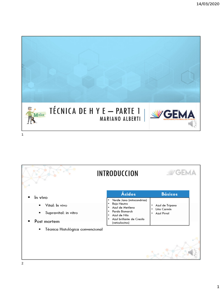 Clase 1 - La Técnica Convencional de H y E - Primera Parte | PDF | Biología