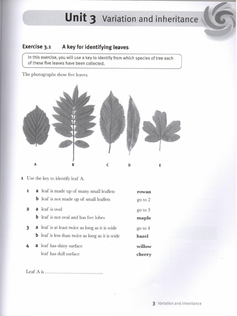 Cambridge Science Y9 Workbook + Worksheet Unit 3-4 Student | PDF | Chemical Elements | Atoms