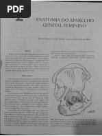 Tipos de Pelve e Suas Características | PDF