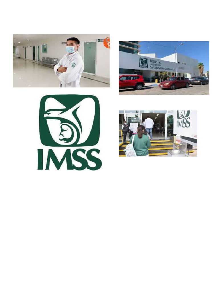 Imss | PDF