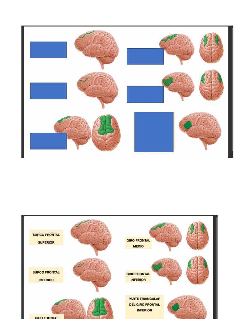 Giros y Surcos | PDF