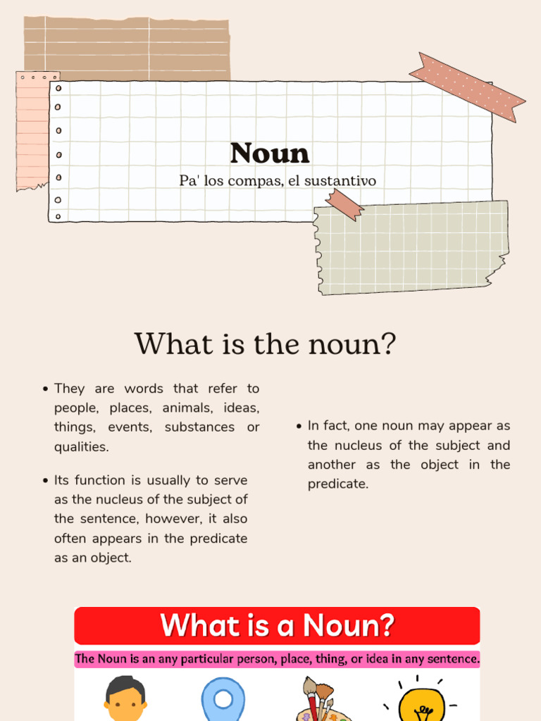 Understanding Nouns in Sentences | PDF