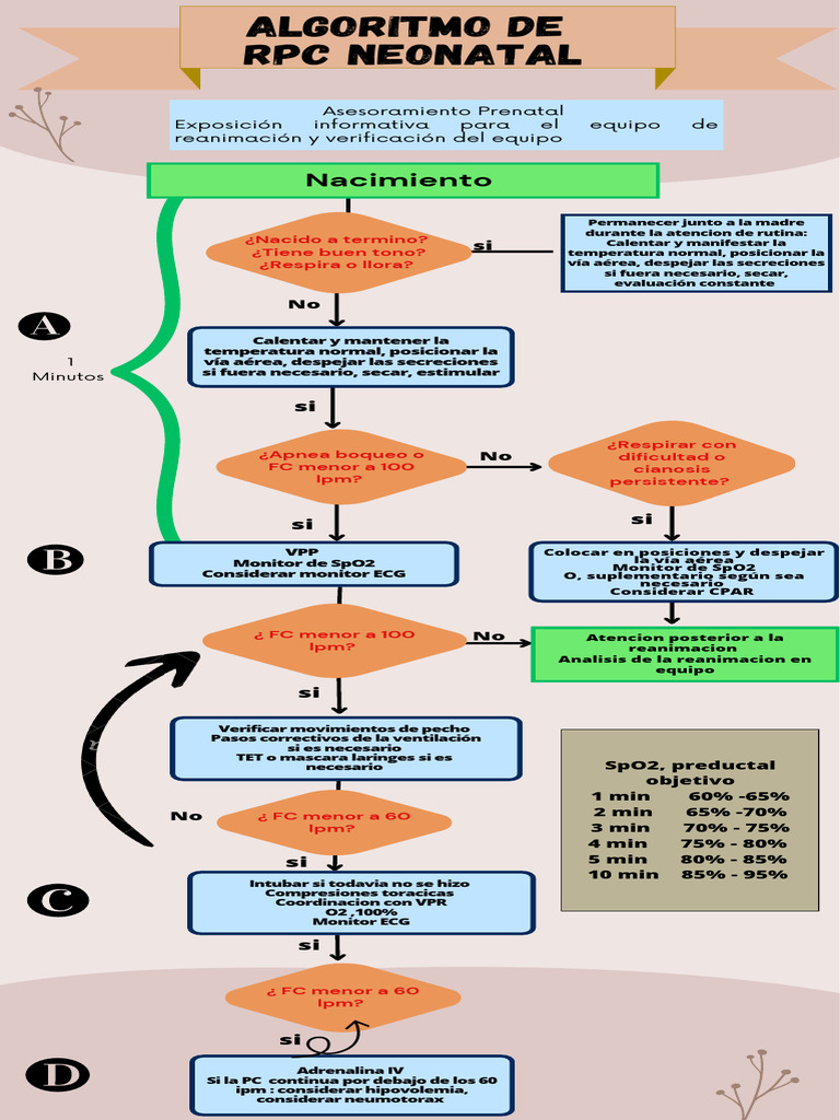 Algoritmo de RCP Neonatal - 123924 | PDF | Reanimación cardiopulmonar ...