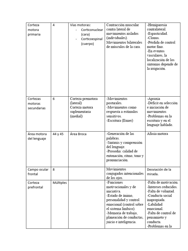 Funciones de la Corteza Motora Primaria | PDF | Ciencias del ...