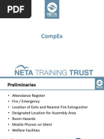 CompEx Ex01 - Ex04 | PDF | Test (Assessment)