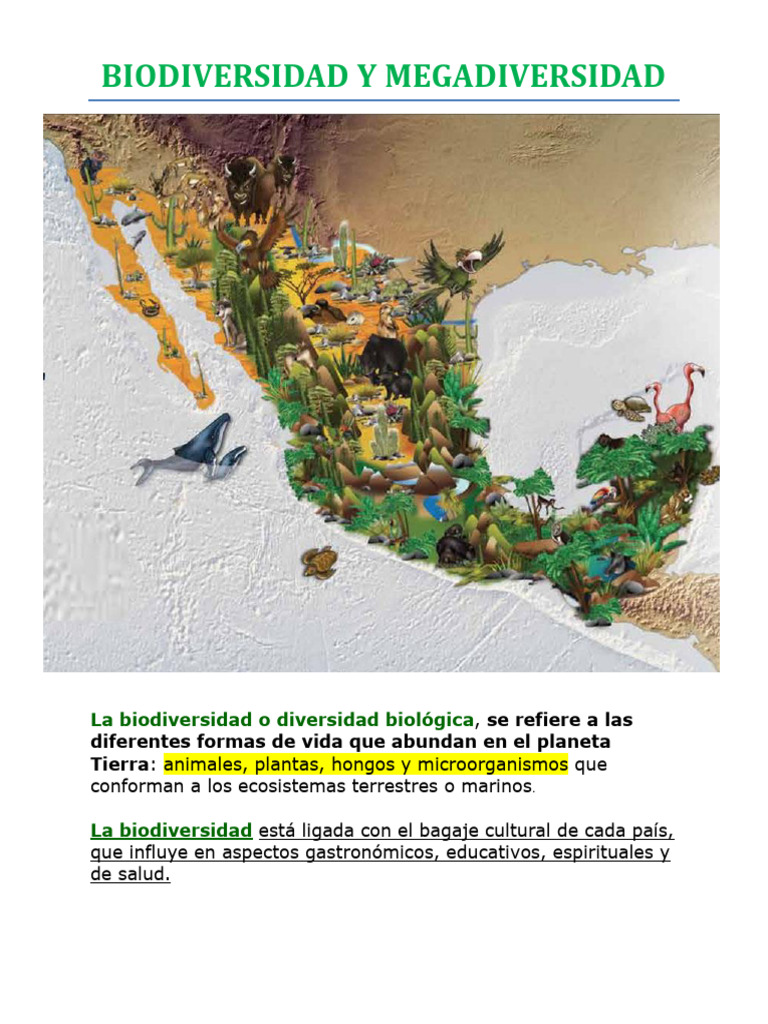 BIODIVERSIDAD Y MEGADIVERSIDAD | PDF