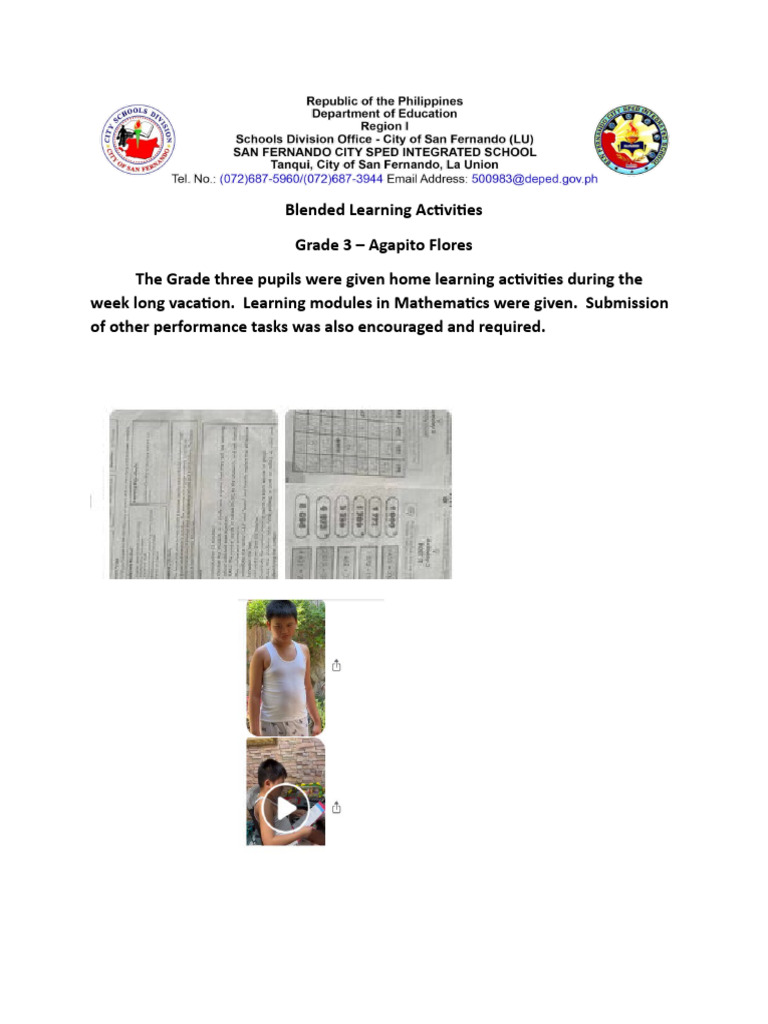 Blended Learning Activities | PDF