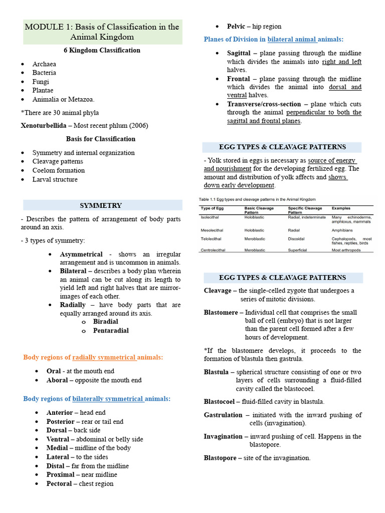 Module 1 | PDF
