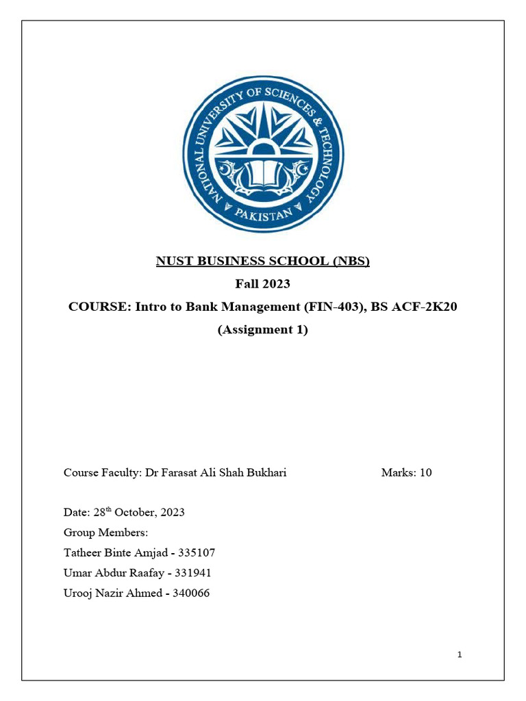 IBM Assignment (Tatheer, Umar, Urooj) | PDF | Economic Inequality | Discrimination & Race Relations