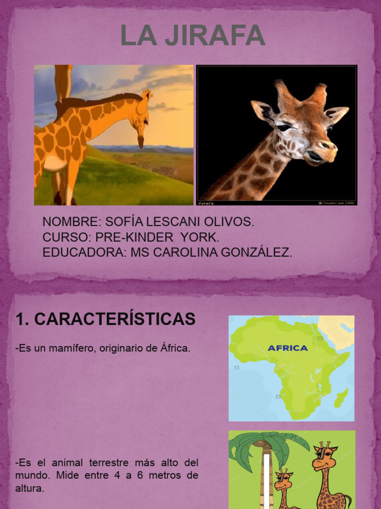 Disertación La Jirafa | PDF