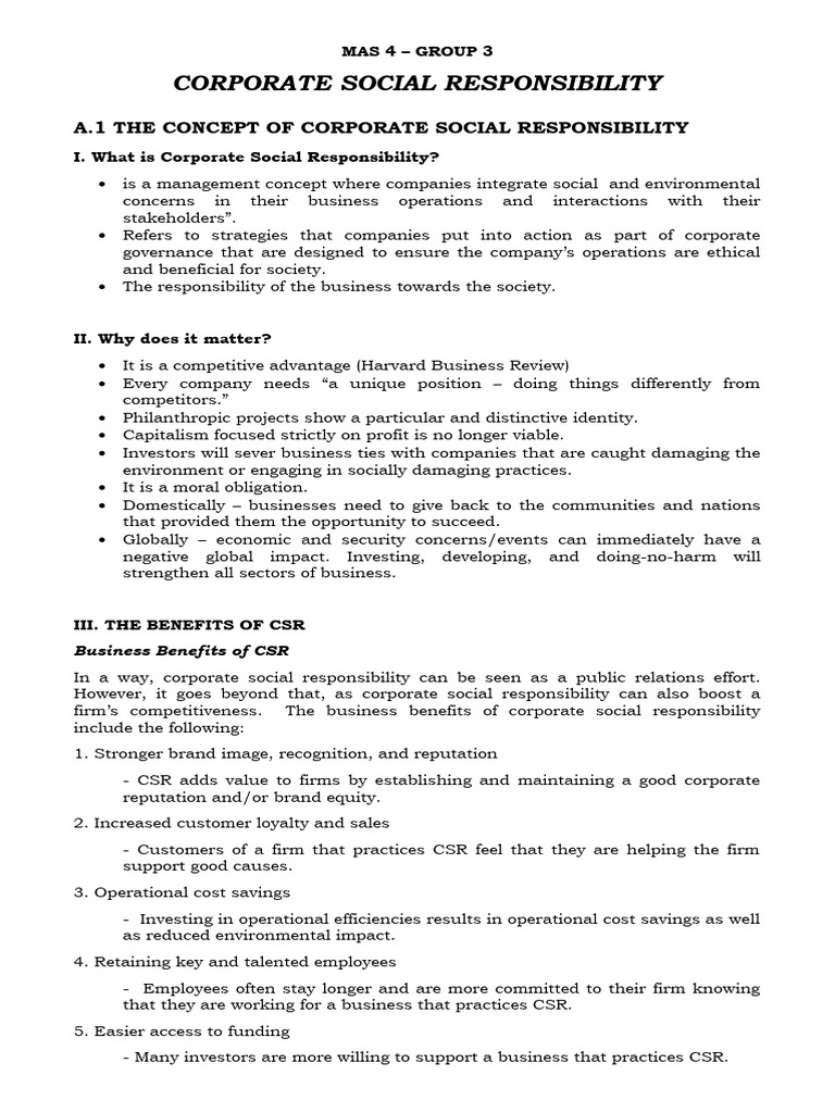 Mas 4 Report | PDF | Corporate Social Responsibility | Nonprofit ...