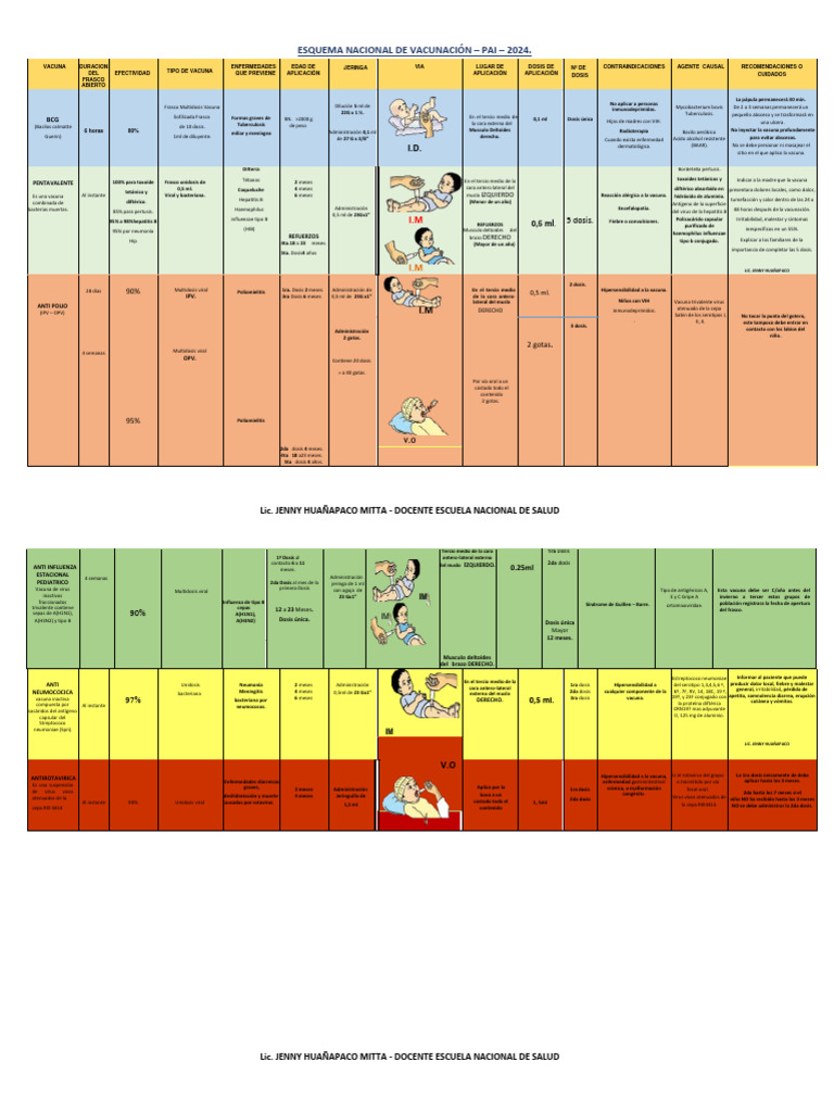 Esquema de Pai 2024 | PDF | Virus de la Influenza A Subtipo H1 N1 | Influenza