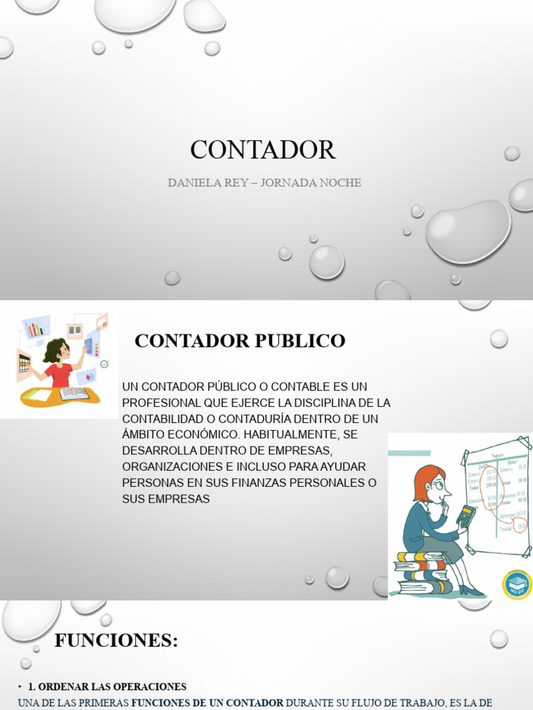 Daniela Rey Contador | PDF | Contador | Contabilidad