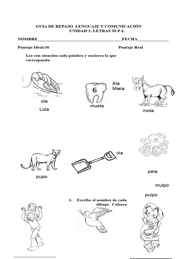 Guia de Lenguaje para Repaso Evaluacion | PDF