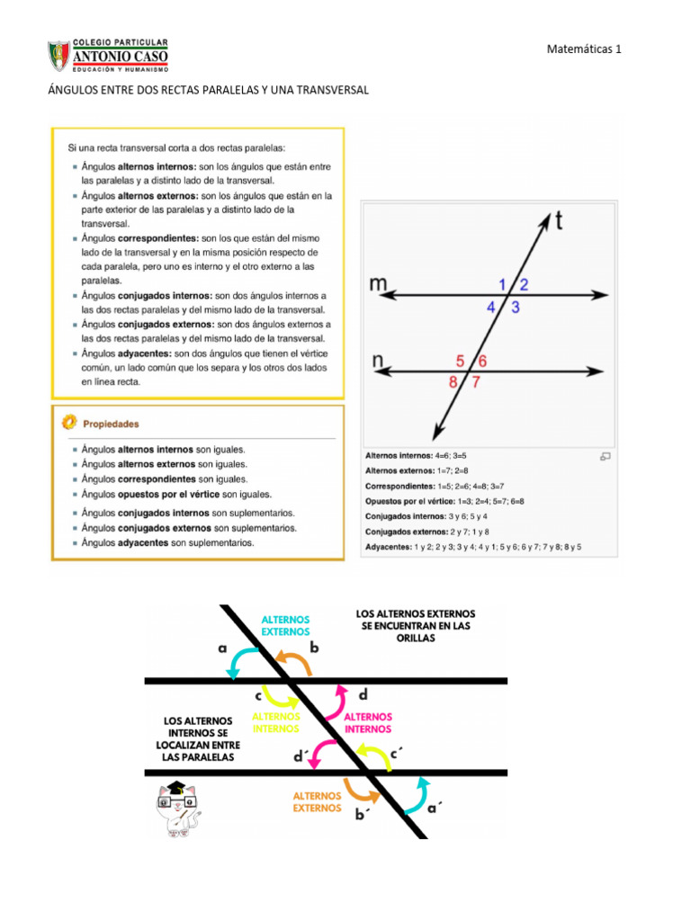 Ang Entre Paralel y Transv - Teoría y App | PDF