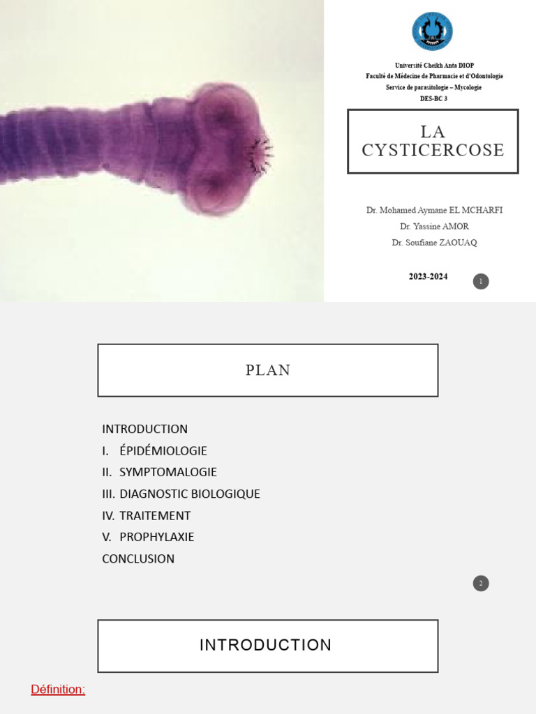 Cysticercose : Diagnostic et Traitement | PDF