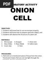 Observing Onion Cells Under Microscope | PDF