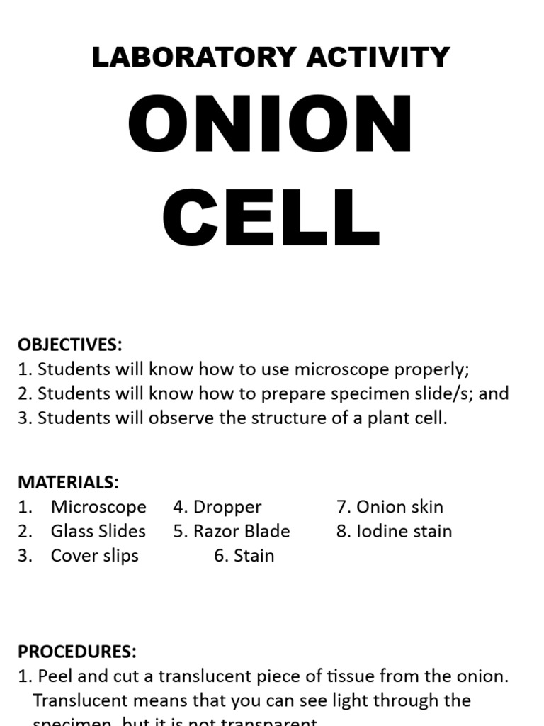 Onion Cell Microscope Lab Activity | PDF | Wellness | Science & Mathematics