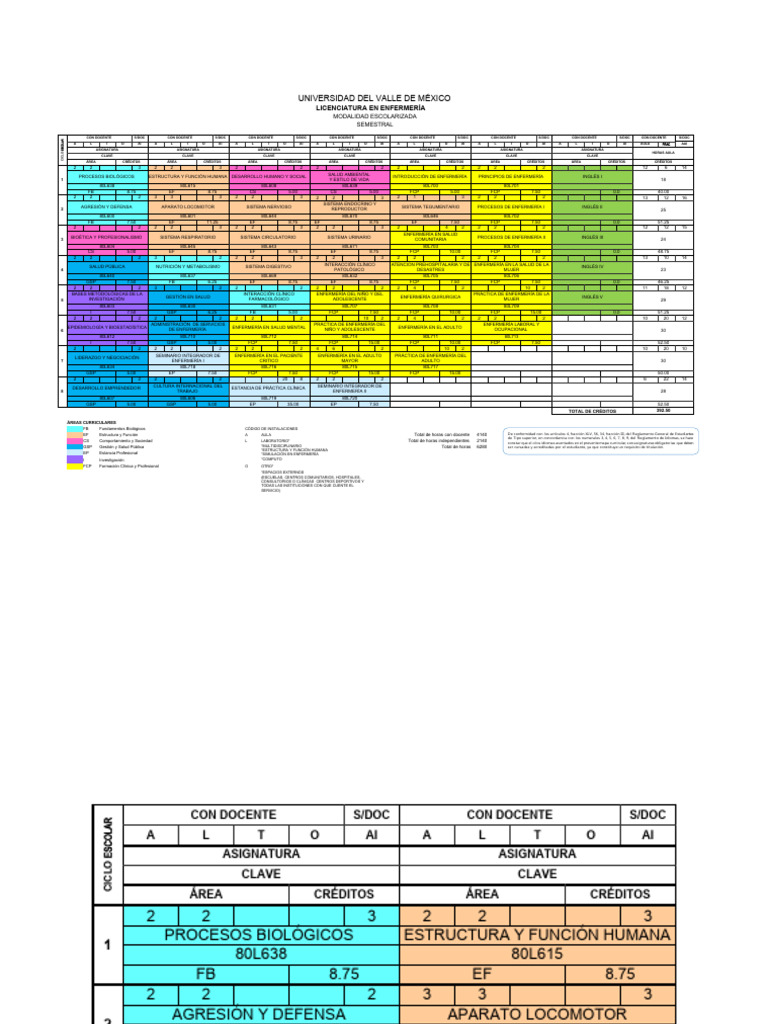 Plan de Estudios Enfermería UVM | PDF | Enfermería | Cuidado de la salud