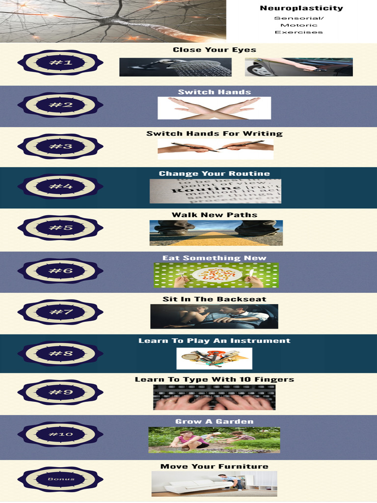 005 Neuroplasticity Sensorial Motoric Exercises | PDF