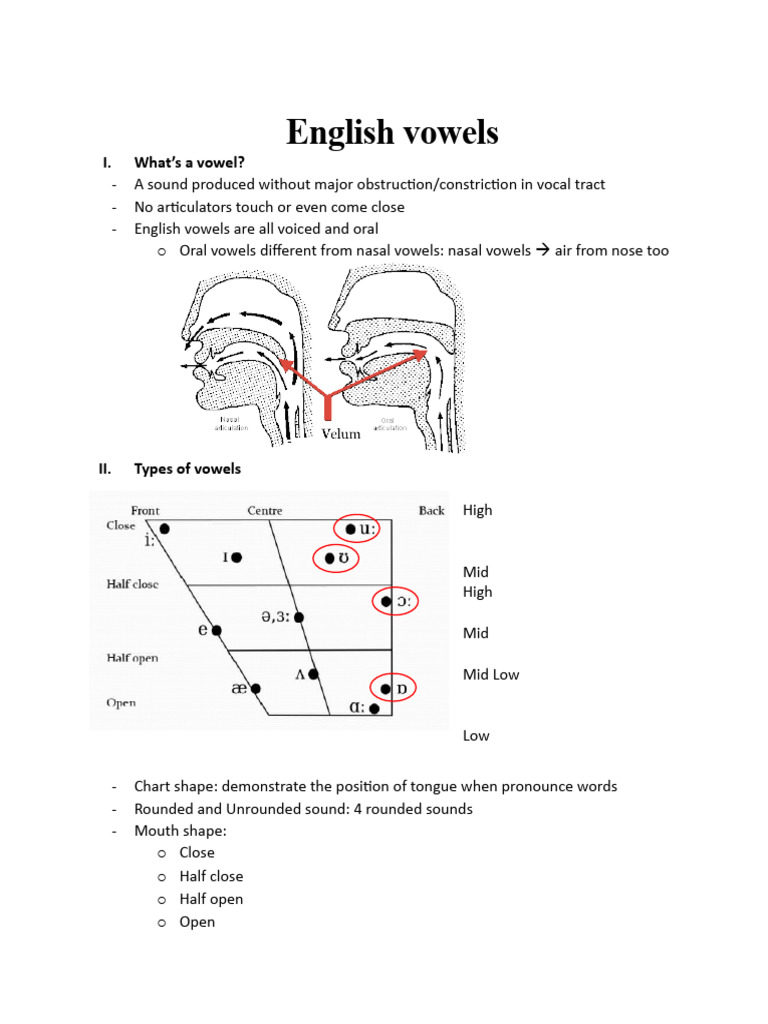 Chapter 3 English Vowels | PDF | Vowel | Human Voice