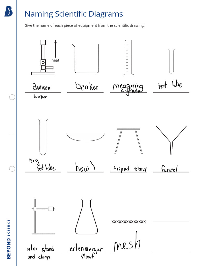 Naming Scientific Diagrams Worksheet | PDF