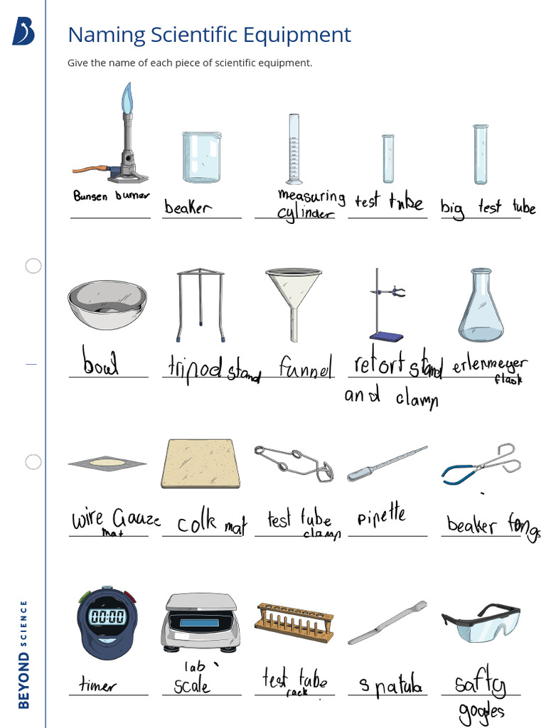 Naming Scientific Equipment Worksheet | PDF