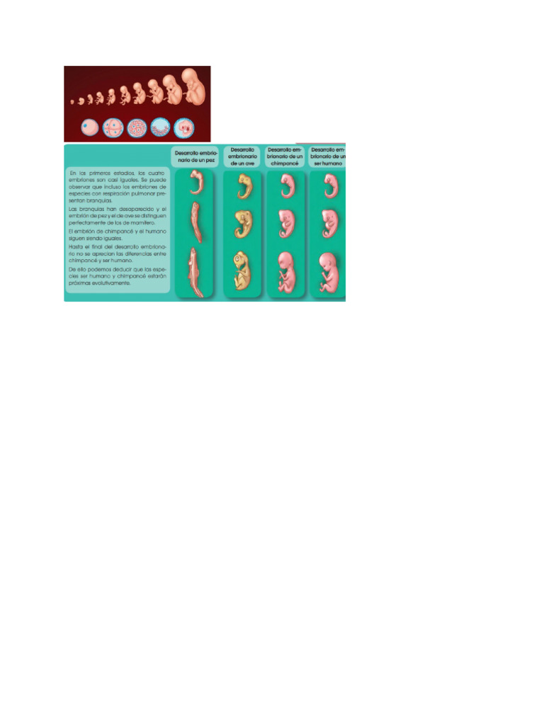 75 ZZZZZZZ | PDF
