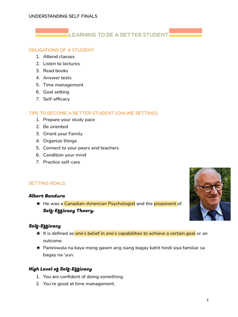 Student Success Strategies and Mindset | PDF | Self Efficacy | Stress ...