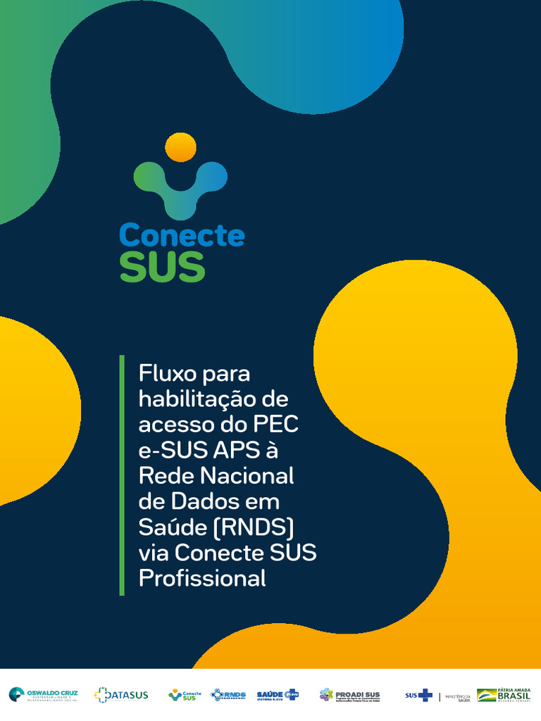 Habilitação do PEC e-SUS APS à RNDS | PDF | Rede de computadores ...