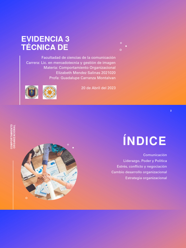 Evidencia 3 CO | PDF | Comunicación | Liderazgo