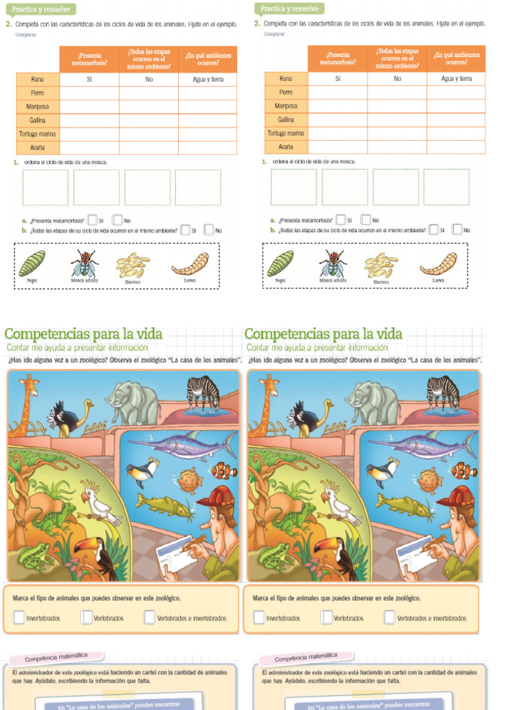 Ciclo de Vida de Animales | PDF