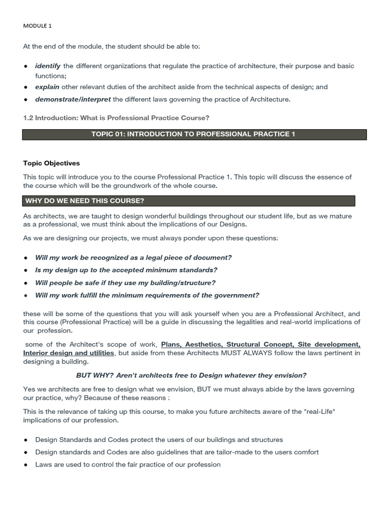 Professional Practice | PDF