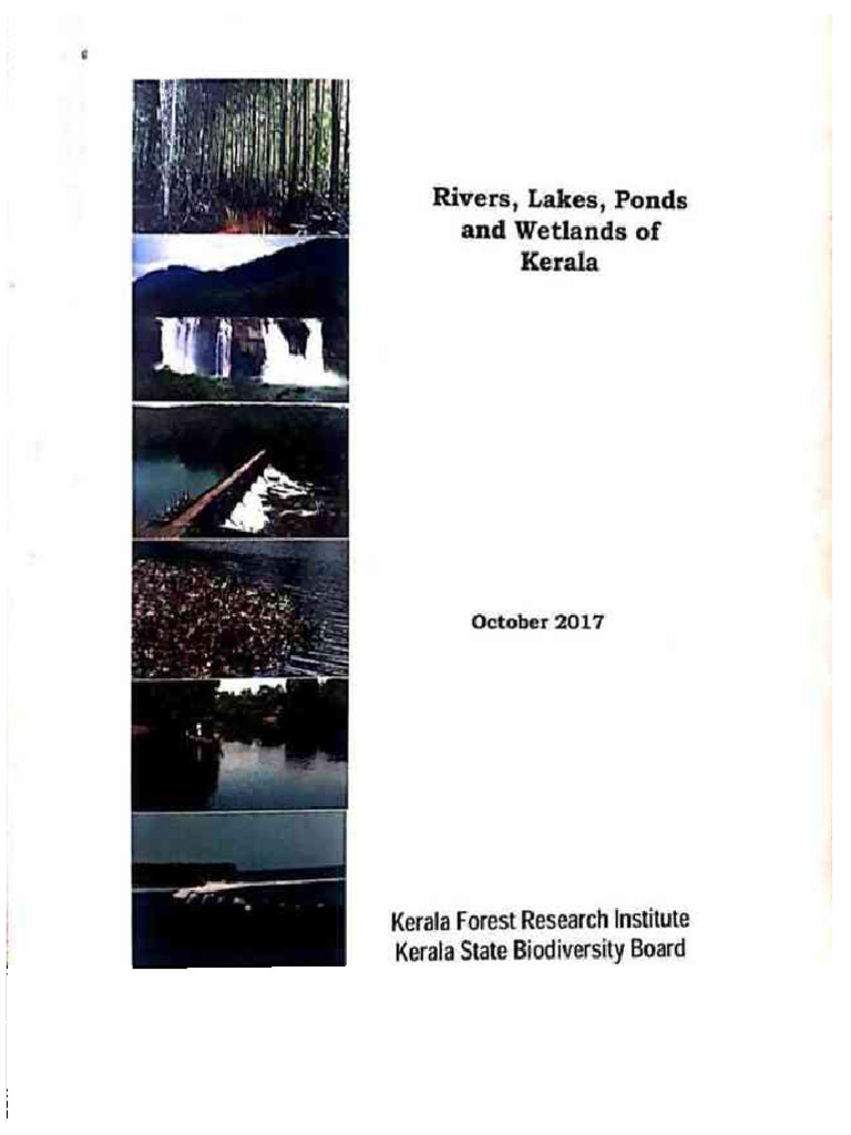 Wetland Report-Part1 | PDF