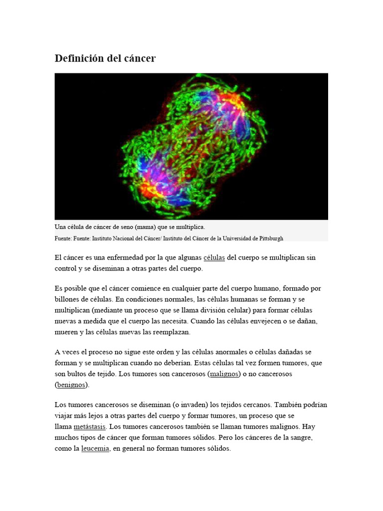 Definición y características del cáncer | PDF | Cáncer | Neoplasias