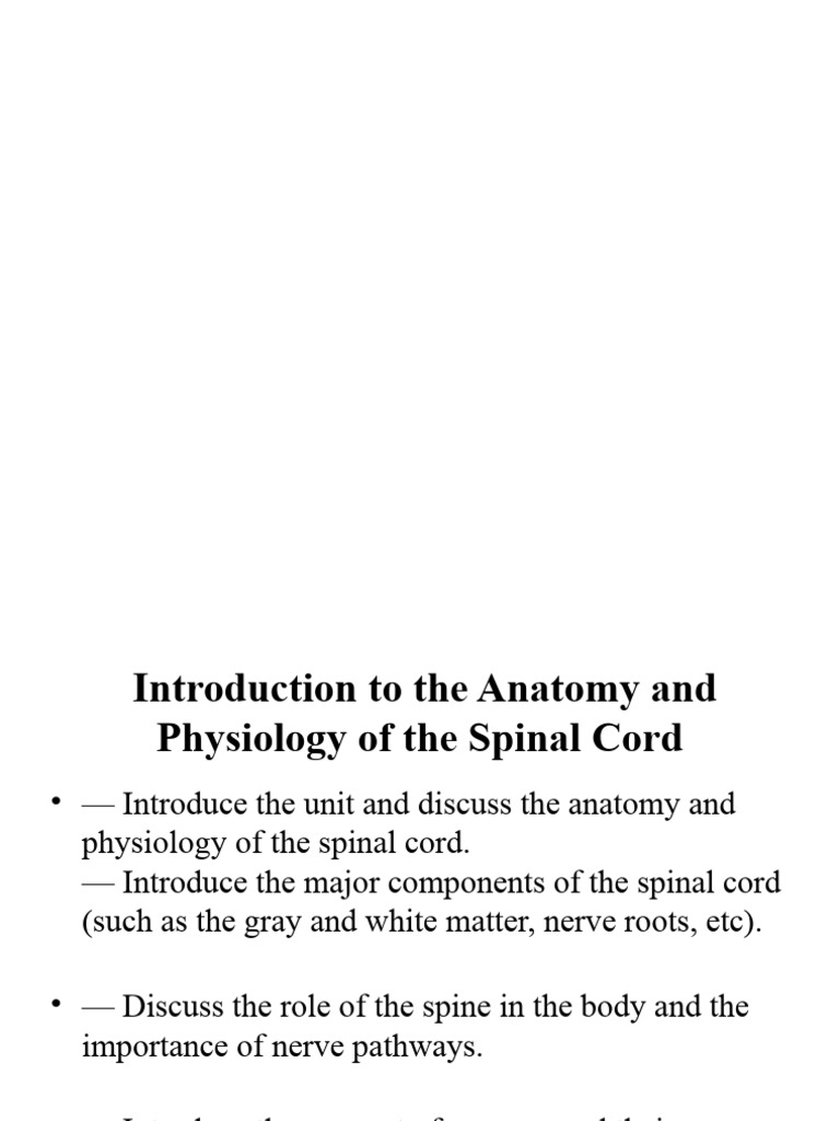Spinal Cord Pdf