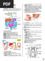 HEPAGRAS | PDF | Hígado | Bilis