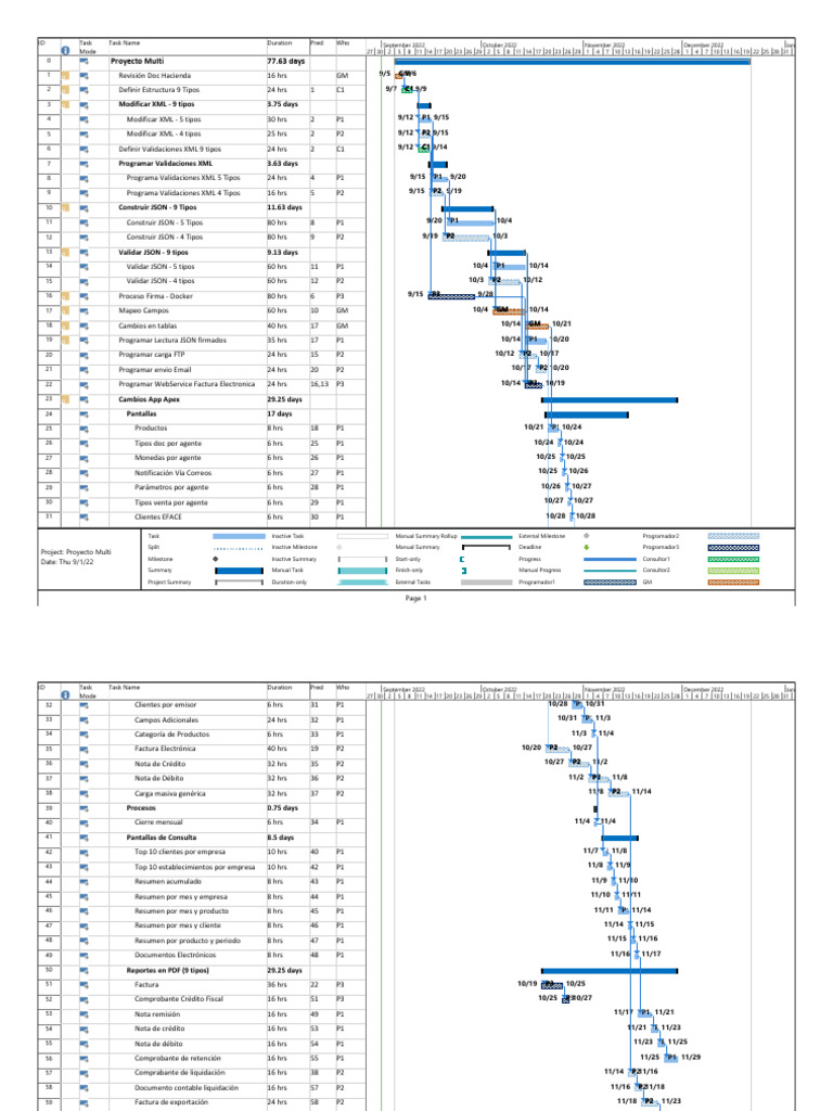 Proyecto Multi | PDF