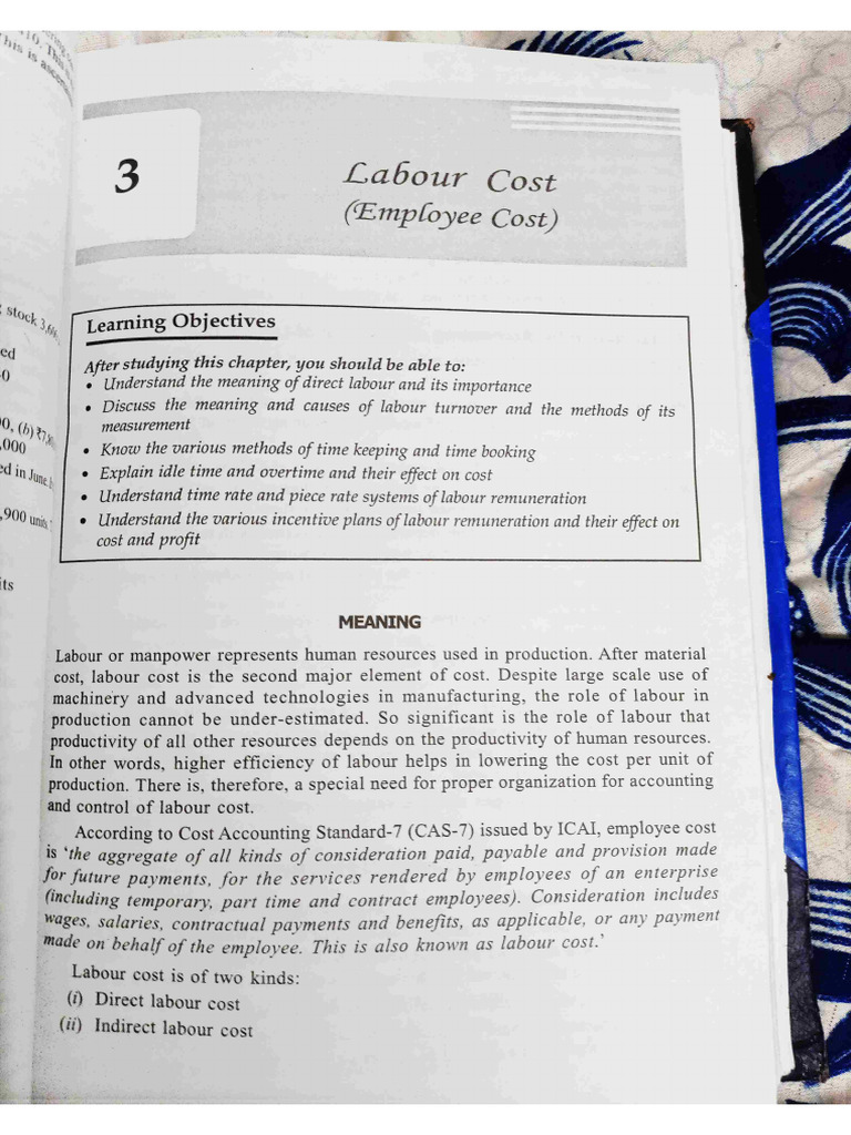 Labour Cost | PDF