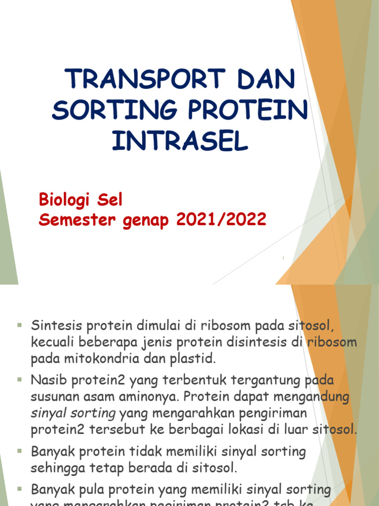 06_transport Dan Sorting Protein Intrasel | PDF