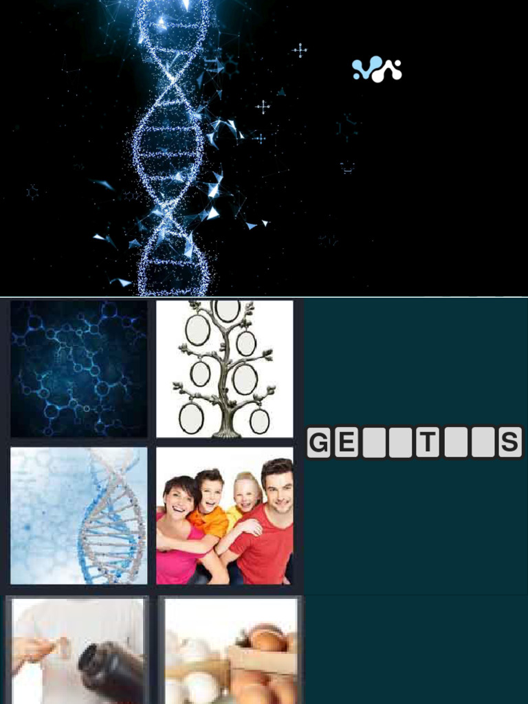 DNA vs. RNA: Structure and Replication | PDF