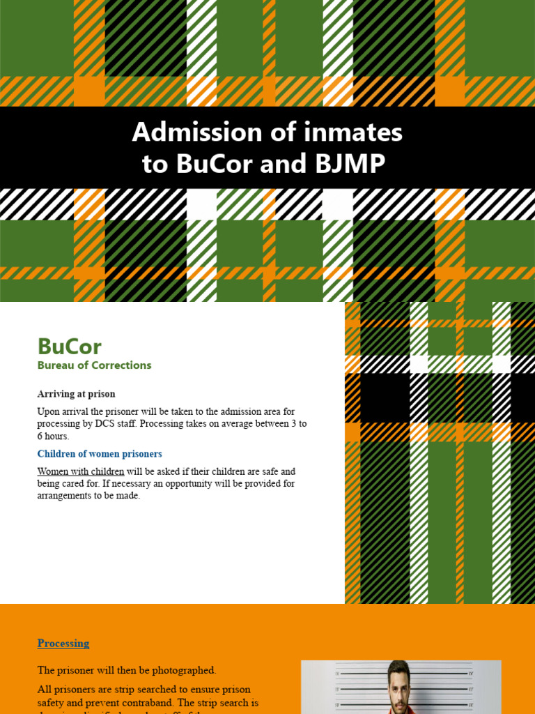 Review1 Report | PDF | Prison | Prisoner