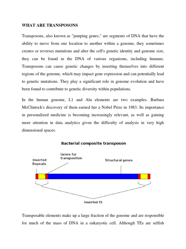 Transposons (For Perusal) | PDF | Transposable Element | Genome