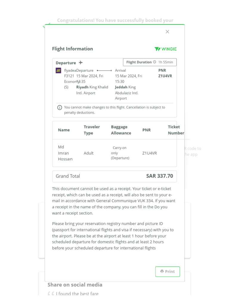 Flight Information - Wingie | PDF
