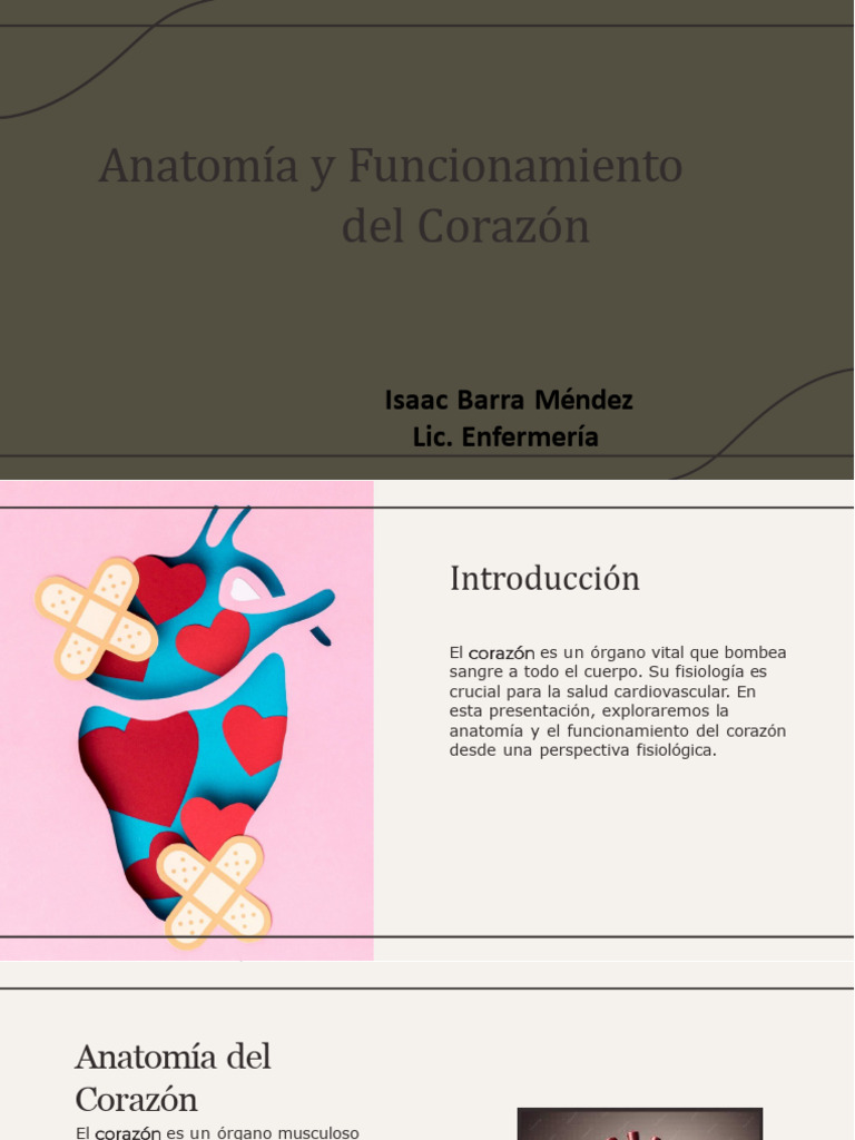 Anatomía Y Fisiología Del Corazón Pdf
