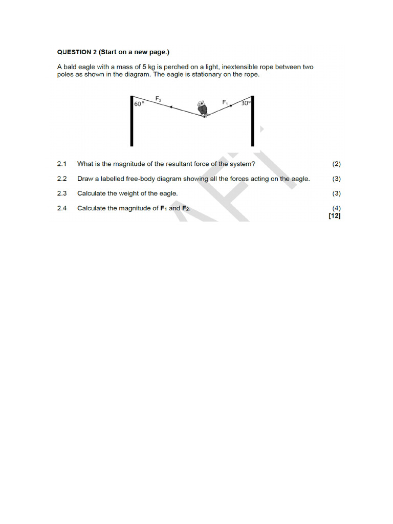 1706551702467-Forces and Vectors Update 2023 QP | PDF